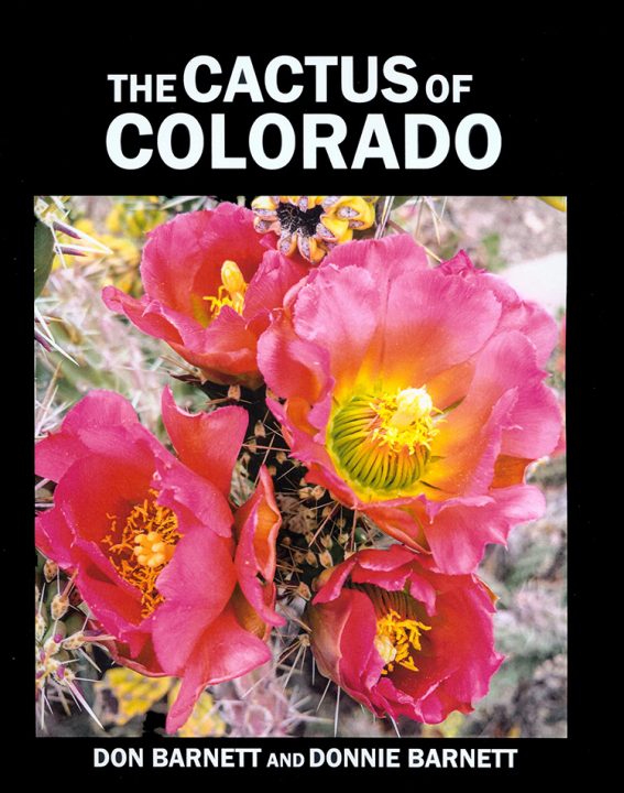 The Cactus of Colorado - Echinocereus Online